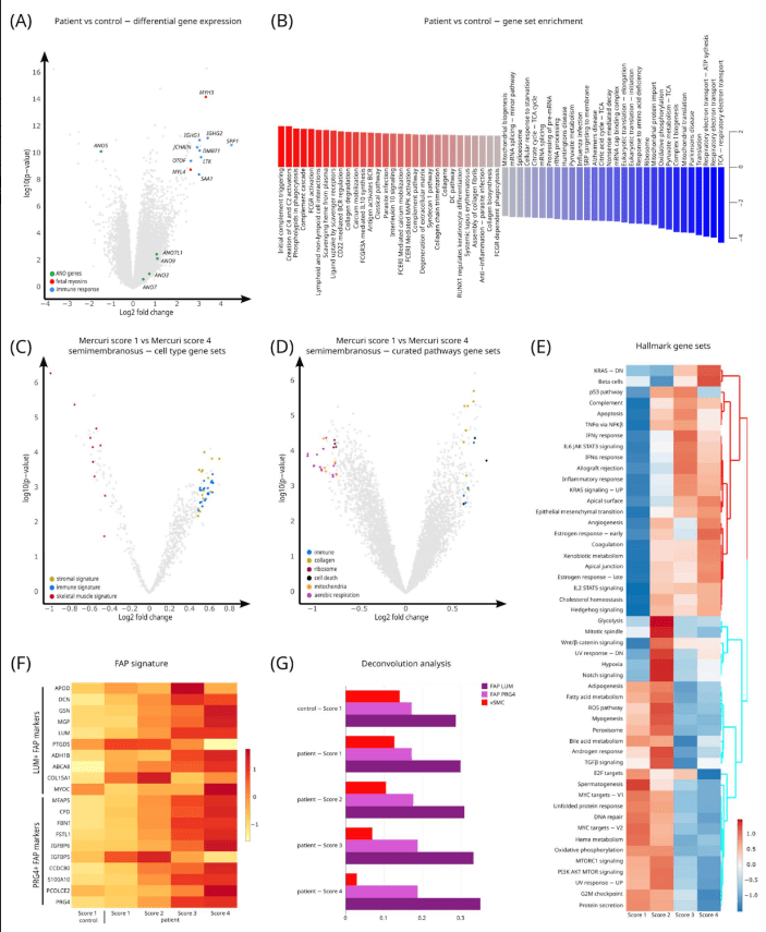 Bioinformatics Support To The Clinician Unlock Insights From Rna Seq Data Unicle