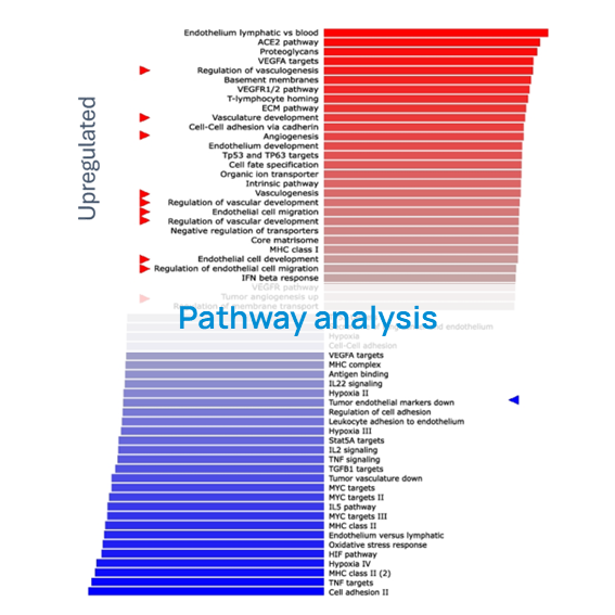 UniApp platform functionalities - Unicle